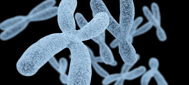 What’s the Difference Between Transgender,Transabled, Transracial ...